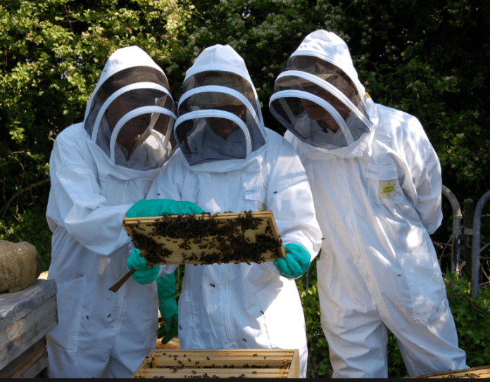 What You Need to Start Beekeeping in Western Canada | BCBeeSupply.ca ...