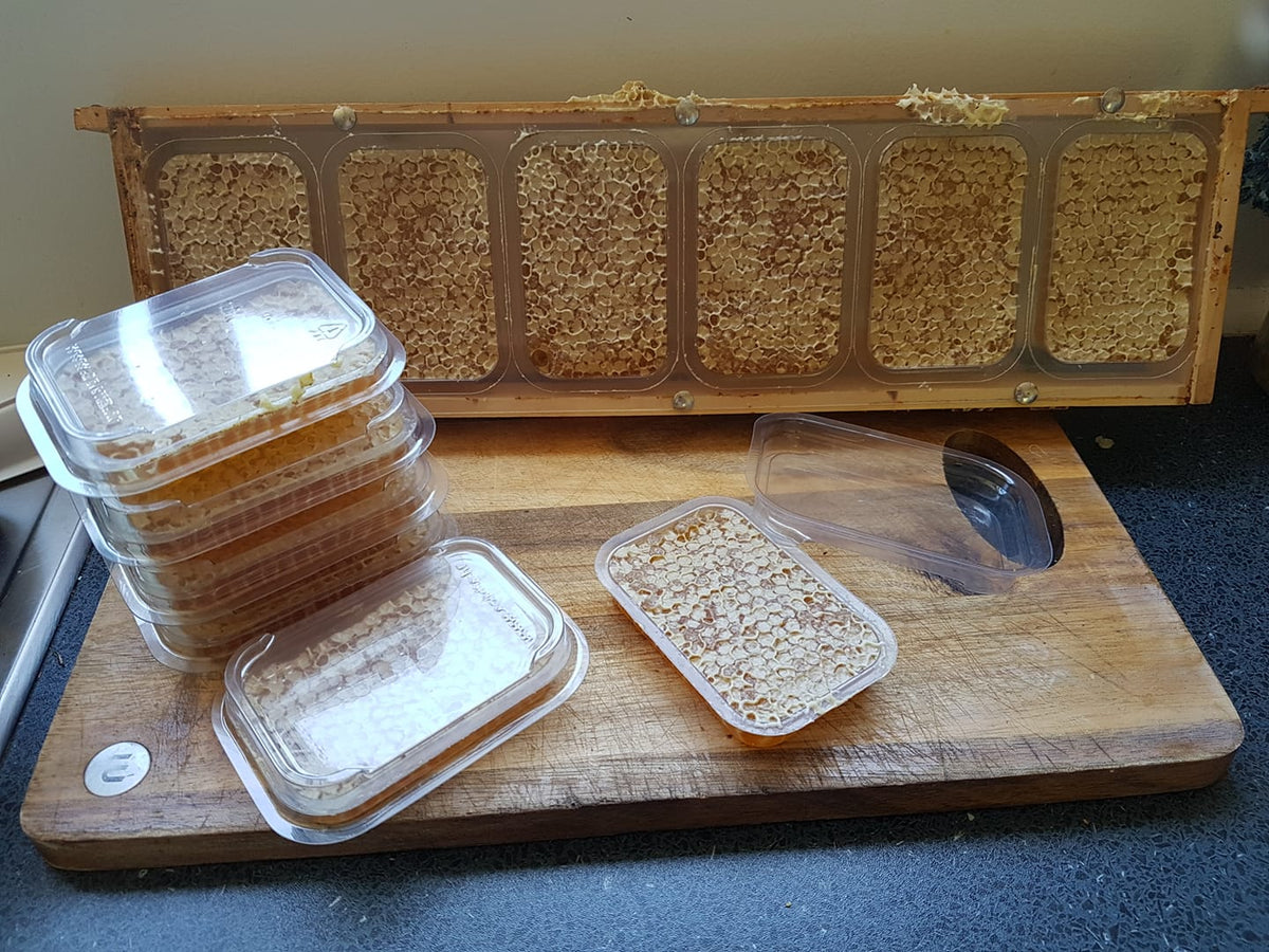 Honeycomb Kit - Containers only – BC Bee Supply