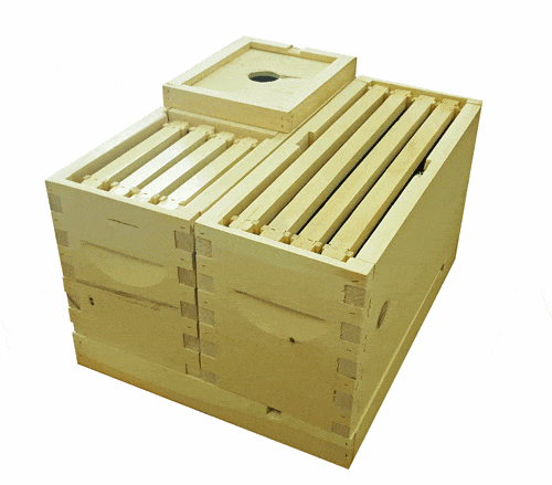 Queen Mating Nuc Box Set - 4-way – BC Bee Supply