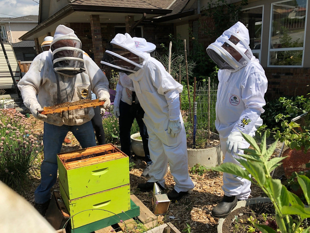 Beekeeper Consultation - Semi-Private Sessions – BC Bee Supply