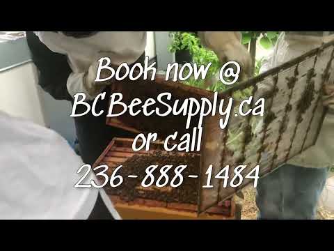 Beekeeper Consultation - Semi-Private Sessions – BC Bee Supply