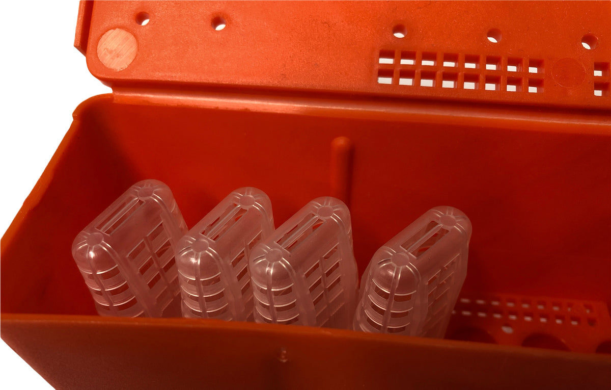 Queen Shipping Box – BC Bee Supply