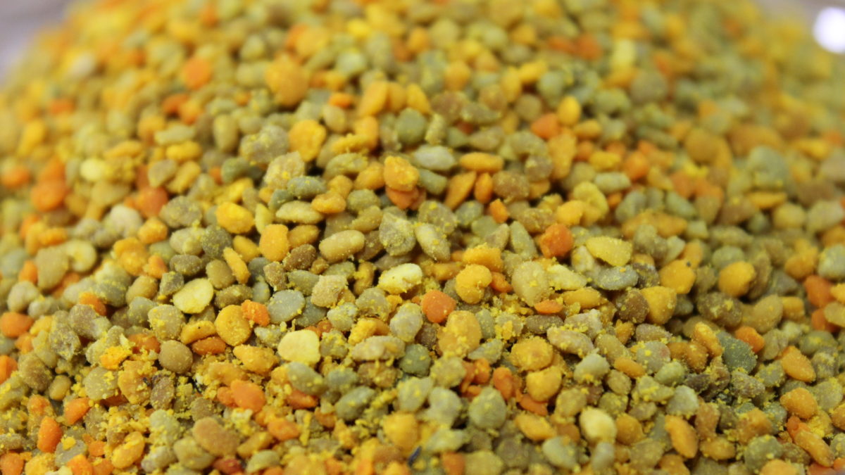 Feed Additive - Pollen – BC Bee Supply